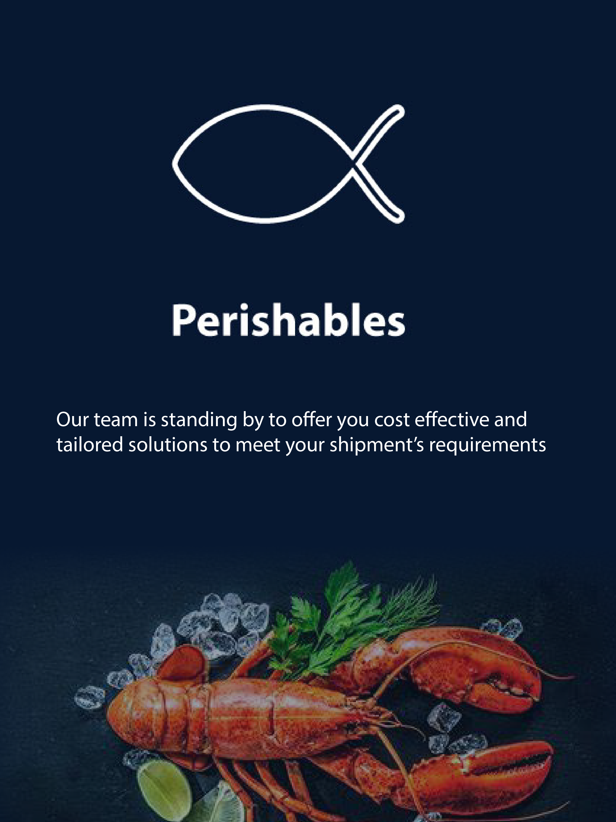 Bidair Cargo – Every kilo counts